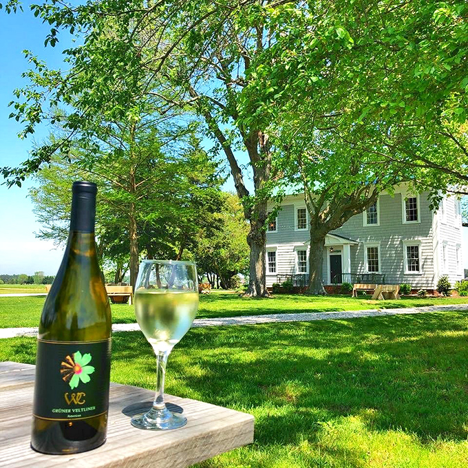 At Windmill Creek Vineyard, a glass of crisp white wine enjoyed on the lawn feels like the perfect antidote to our perpetually buzzing smartphones.