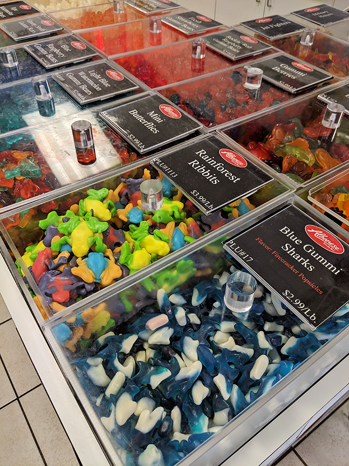 These aren't your average gummy bears &ndash; they're technicolor works of art. Blue sharks swimming in a sea of rainbow-colored companions.