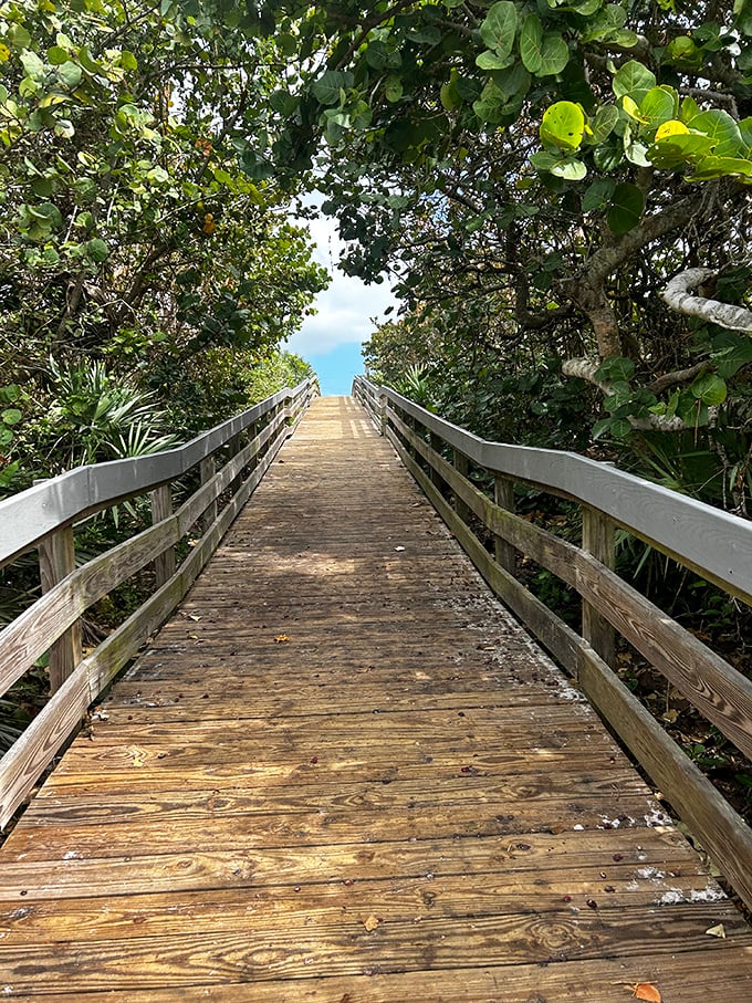 The boardwalk journey builds anticipation perfectly&mdash;a leafy tunnel that suddenly opens to reveal the ocean's vastness.