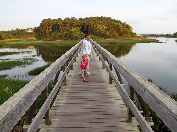 This wooden boardwalk invites you to wander into marshlands where time slows down and nature puts on a show.