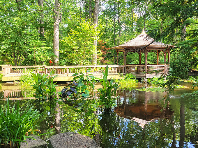 The Toledo Botanical Garden provides tranquil reflection spots where nature and human design achieve perfect harmony. This gazebo overlooking lily pads offers a moment of zen without an admission fee.