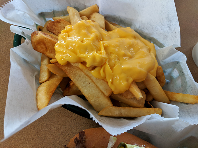 Cheese fries: where potatoes fulfill their golden destiny by becoming vehicles for molten cheese. Diet plans enter at their own risk.