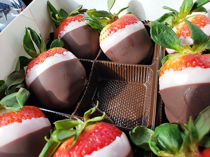 Chocolate-dipped strawberries wearing tuxedos&mdash;half formal dark chocolate, half elegant white, all dressed up for your taste buds' party.