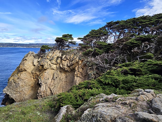 Dramatic coastline cliffs showcase Mother Nature's artistic flair along the stunning Monterey Peninsula.