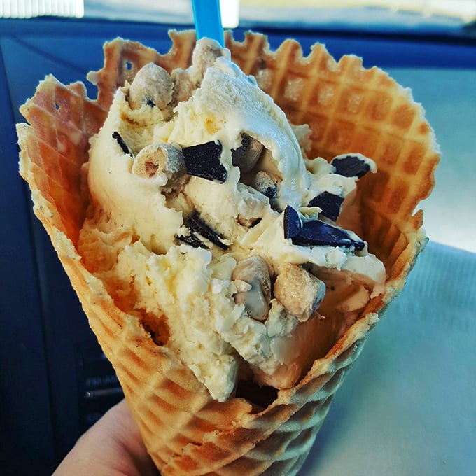 Cookie dough waffle cone: where childhood dreams and adult indulgences meet in perfect, creamy harmony.