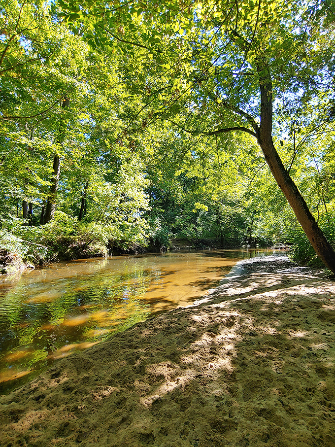 White Clay Creek creates nature's soundtrack just minutes from downtown, a serene escape where sunlight dapples through leafy guardians.