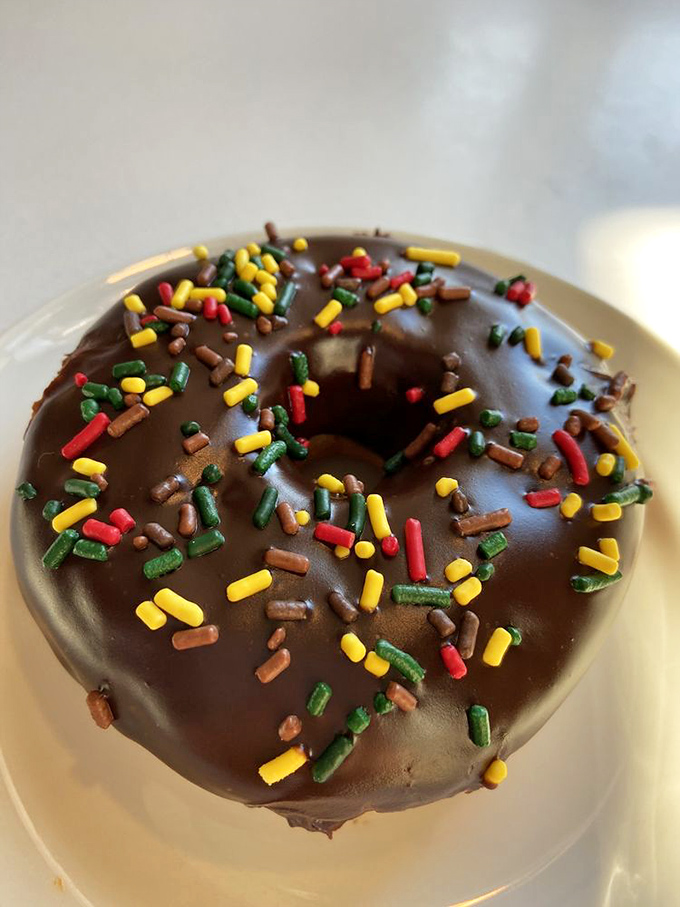 Chocolate donut with rainbow sprinkles: proof that sometimes happiness is simple, circular, and fits perfectly in your hand.
