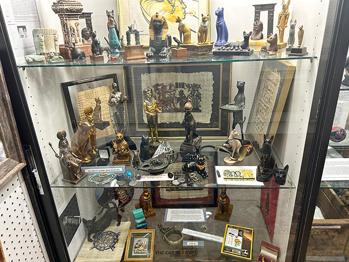 This display case reveals how ancient civilizations elevated cats from pest controllers to deities worthy of artistic celebration.