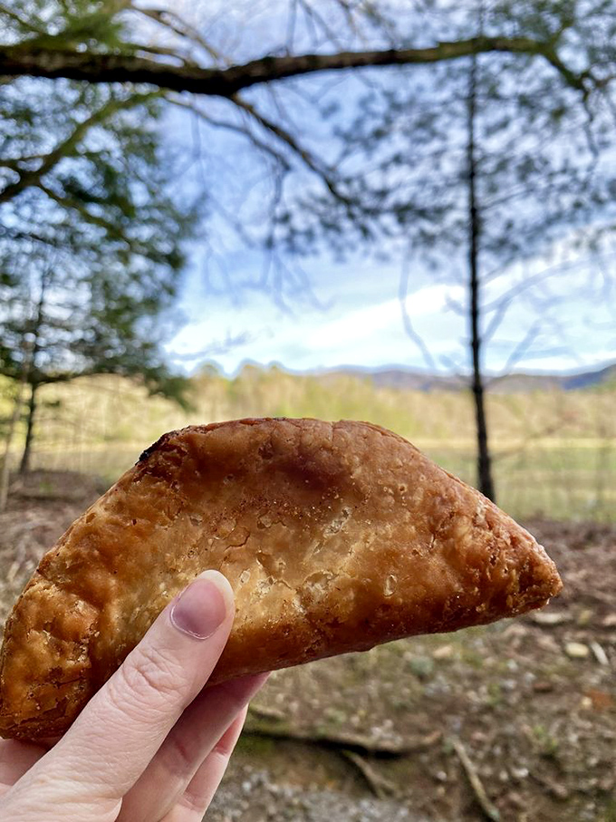 Holding this fried apple pie against the Smoky Mountain backdrop feels like a Tennessee moment worthy of a country song.