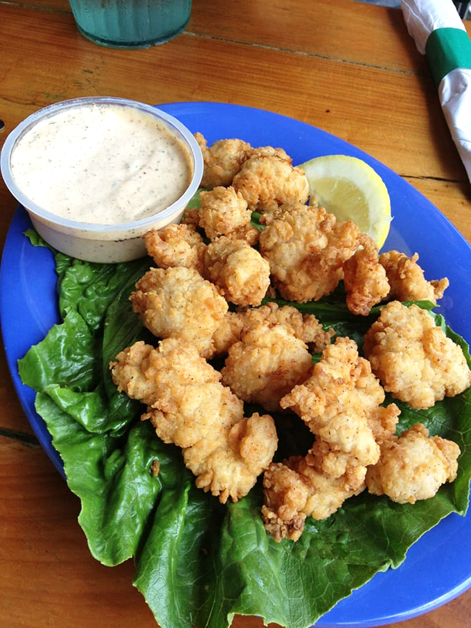 These bite-sized morsels aren't just fried – they're transformed into crispy, golden treasures that make dipping sauce the luckiest condiment in Florida.