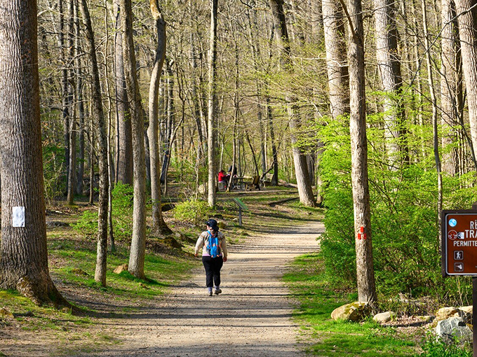 Hiking trails wind through forests just minutes from downtown, offering woodland serenity for all skill levels. Mother Nature's stress relief program doesn't require a membership fee.