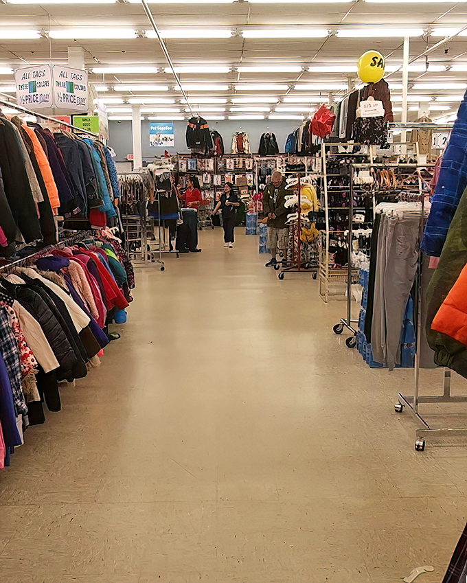 Yellow "SALE" signs in a thrift store? That's like putting a "WET" sign in the ocean, but the irony doesn't stop bargain hunters from flocking.