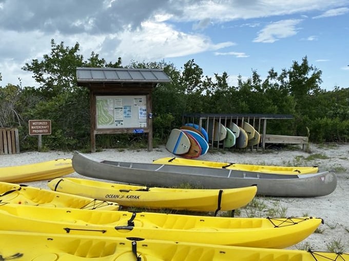 Kayaks waiting patiently for their next adventure, like eager golden retrievers ready for a game of fetch with the mangroves.