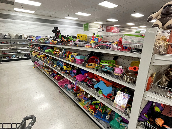 Toy story indeed! These shelves are where yesterday's must-have playthings await their next adventure with new imaginative owners.