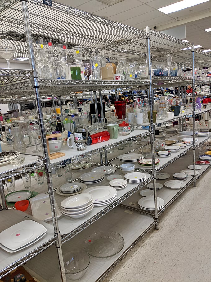 Crystal glasses and ceramic plates wait patiently for their second act, ready to star in your kitchen without breaking the bank.