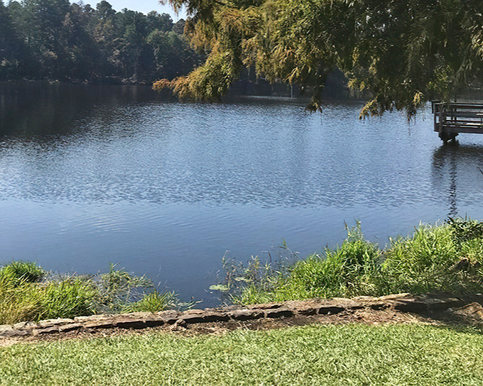 Serenity in liquid form. The kind of view that makes you forget passwords, deadlines, and that weird noise your car's been making.