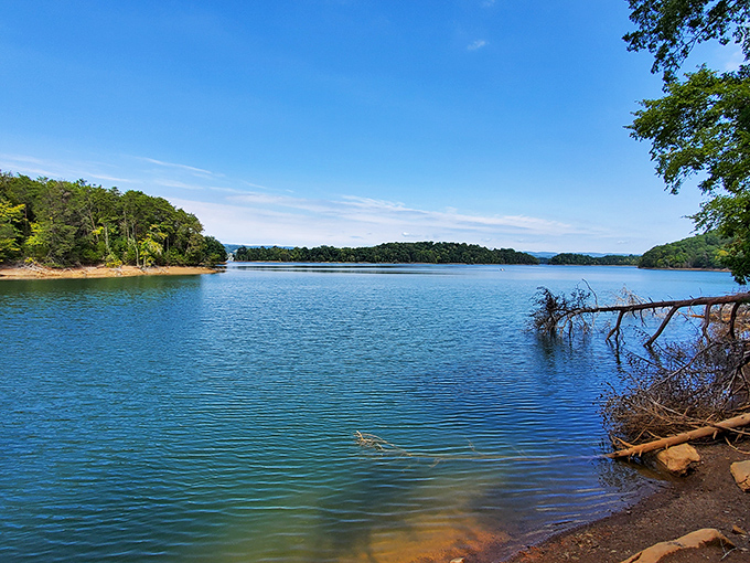 Cherokee Lake's crystal waters reflect the surrounding hills like nature's own Instagram filter, offering serenity just minutes from downtown hustle.