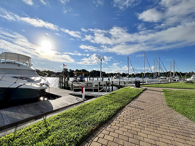 Marina life at its finest, where boats worth more than my house rest peacefully in the golden light, making me seriously reconsider my life choices.