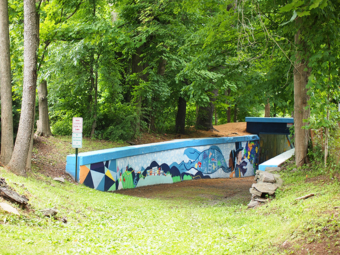 Who needs billboards when you've got murals like this? Honesdale's public art transforms ordinary walls into celebrations of local heritage and natural beauty.