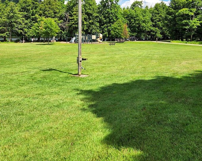 The park's perfectly manicured green space beckons picnickers and frisbee enthusiasts alike. Spontaneous naps have been known to occur.