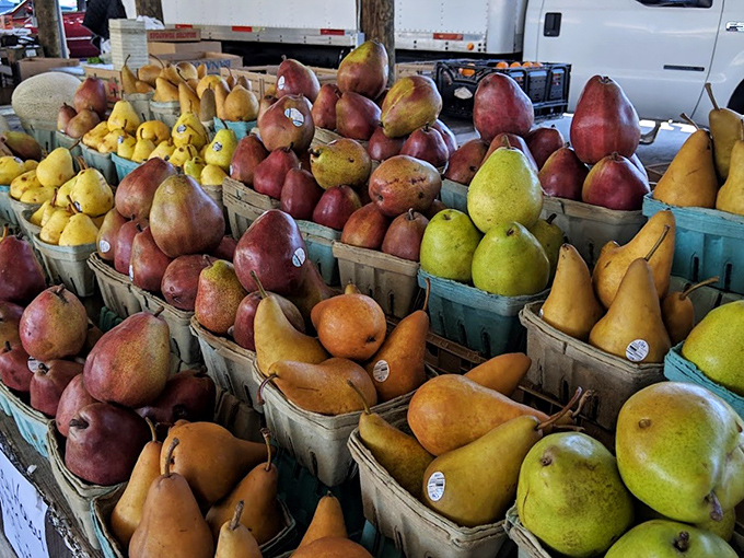 Pear paradise! These colorful fruits huddle together in their baskets like old friends at a reunion, each with its own personality and sweetness level.
