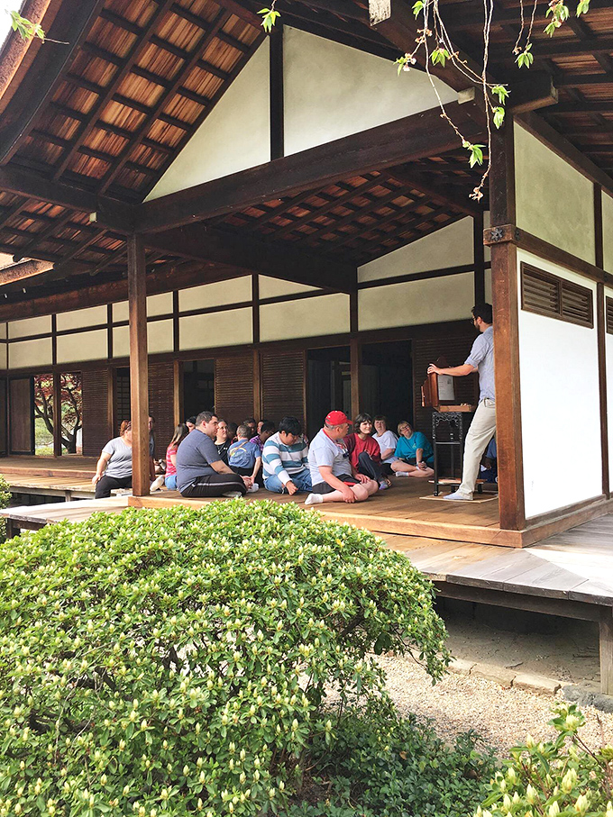 Cultural demonstrations bring the house to life, proving that the best souvenirs aren't things you buy but experiences you absorb.