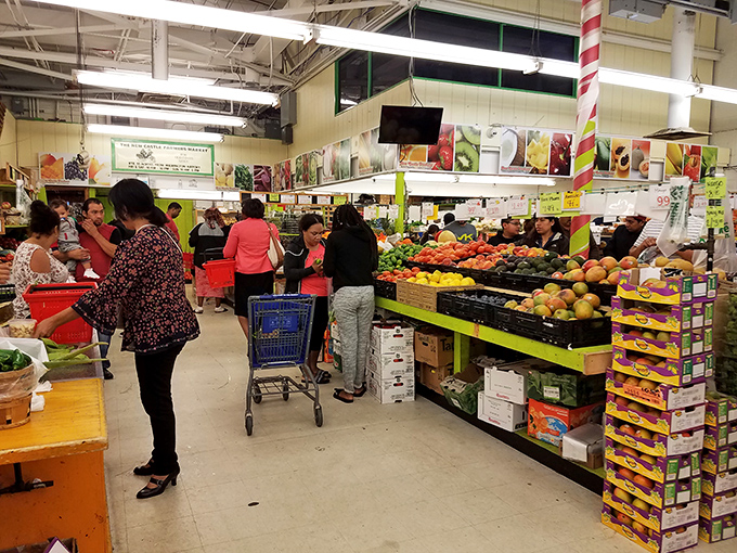 Fresh produce that actually looks like it came from a farm, not a plastic factory. These vegetables haven't been airbrushed like celebrity headshots.