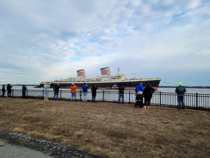 Ship-watching: Delaware's version of celebrity spotting, where massive vessels command more attention than any Hollywood star ever could.