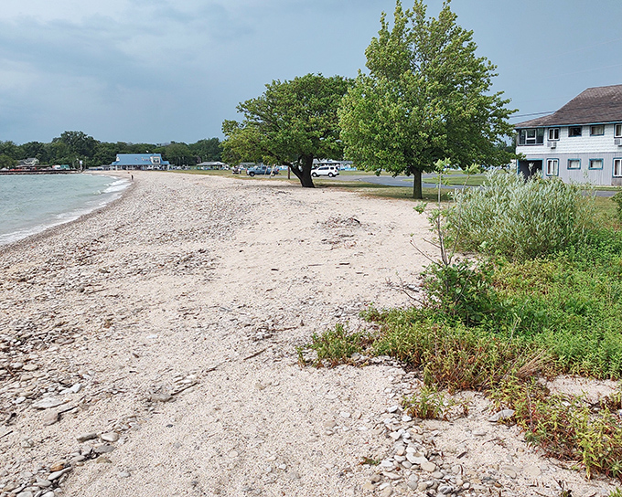 The transition zone where manicured meets wild. Native plants frame the beach, providing crucial habitat while softening the shoreline's edge.