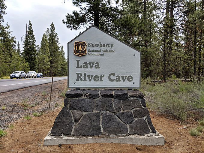 The official welcome sign stands sentinel along the forest road. This unassuming marker is the first hint of the extraordinary geological marvel waiting just beyond the trees.