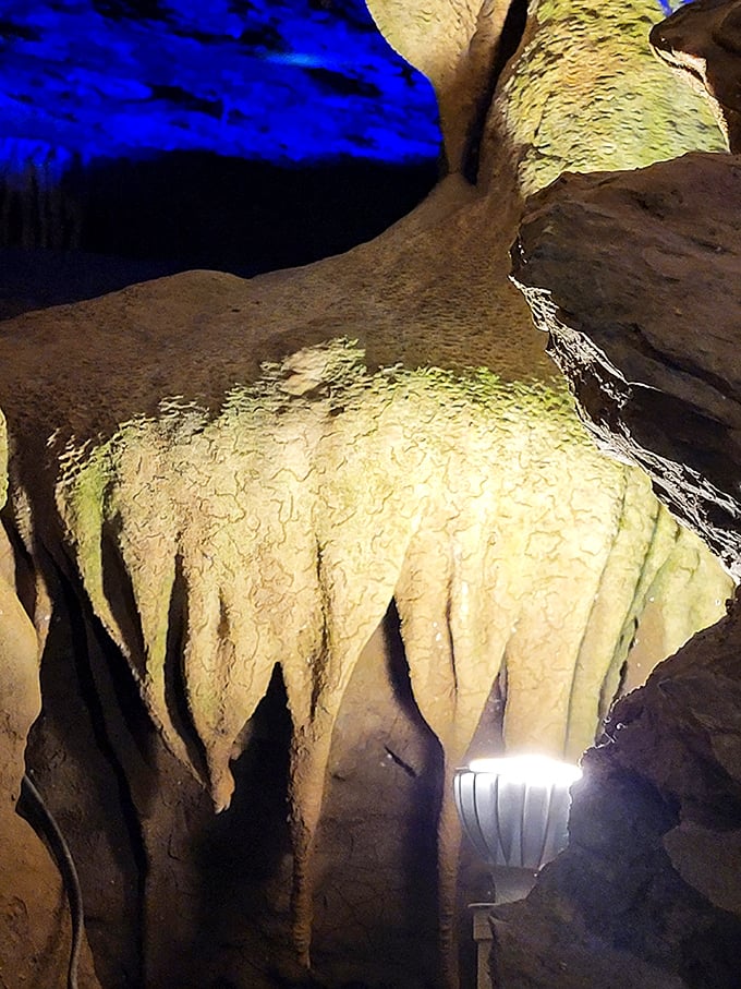 Nature's chandeliers hang in delicate suspension, each drip adding to their grandeur over thousands of years of patient growth.