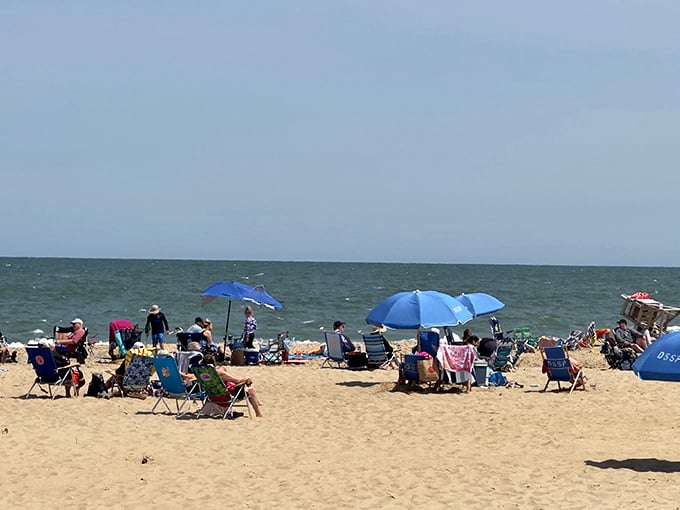 Social distancing, beach edition. Everyone gets their own slice of Atlantic Ocean to splash in while pretending they're eight years old again.