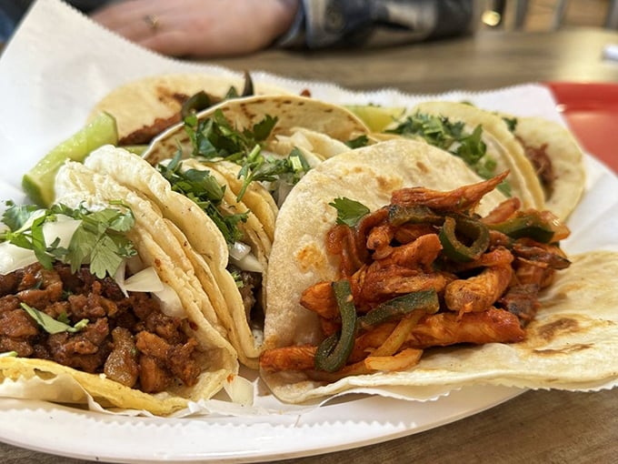 Traditional tacos done right&mdash;simple, authentic, and bursting with flavor. No unnecessary frills, just perfectly seasoned meat, fresh cilantro, and onion on soft corn tortillas.