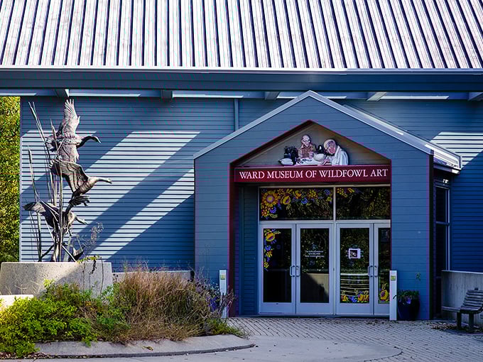 The Ward Museum of Wildfowl Art celebrates the Eastern Shore's decoy carving tradition with exhibits that will have you looking at ducks in a whole new way.
