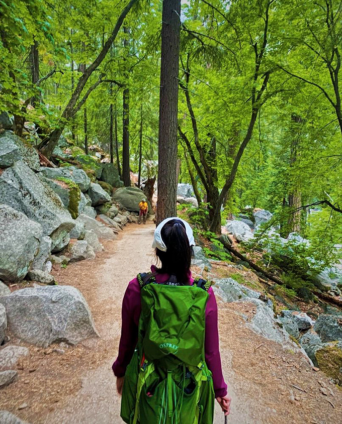 The gentle prelude to adventure. This deceptively peaceful trail section lulls hikers into a false sense of "this isn't so bad" before revealing its true intentions.