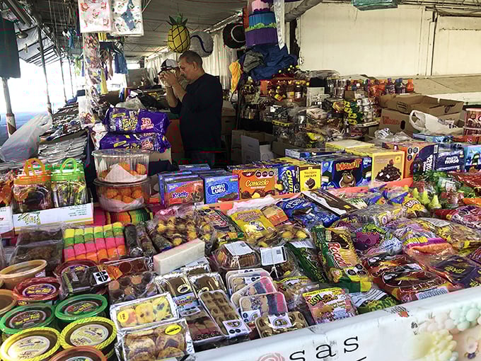 One person's candy collection becomes another's sweet tooth salvation in this sugary wonderland of possibilities.