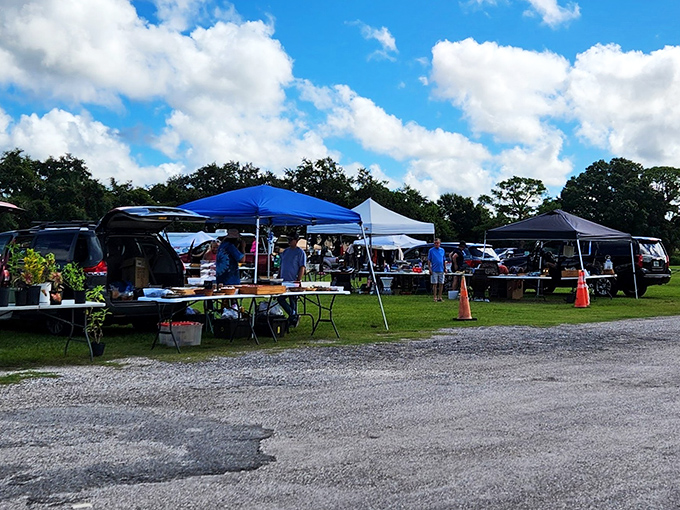 A patchwork of blue canopies creates a marketplace mirage against puffy clouds. The swap meet's temporary city appears and vanishes with clockwork weekend regularity.