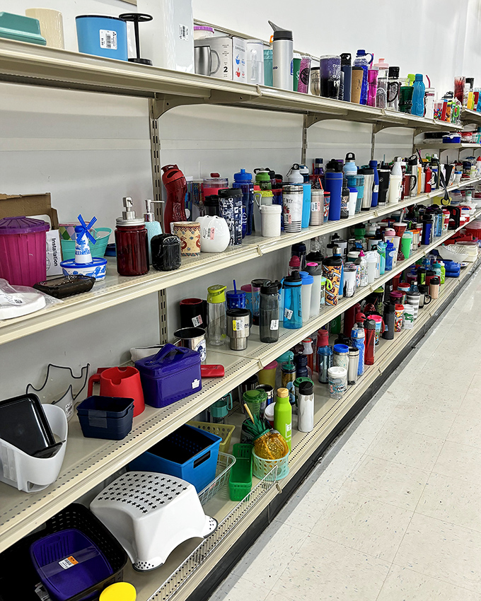 Water bottle wonderland! A hydration station of previously-loved containers waiting to quench thirsts and reduce plastic waste simultaneously.