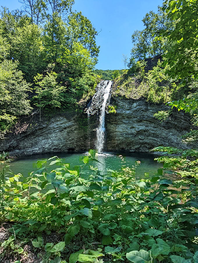 Hidden waterfalls reward explorers willing to venture just beyond city limits. Nature's version of a spa day costs nothing but the effort to find it.