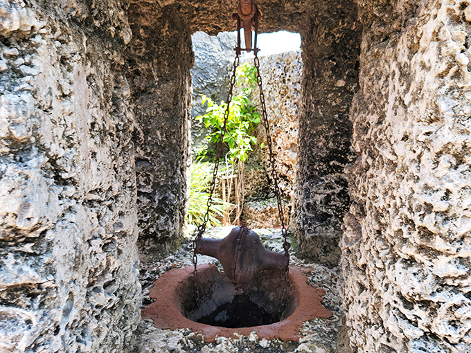 This ancient-looking well seems ready to grant wishes or possibly lead to another dimension. Either way, I'm intrigued!