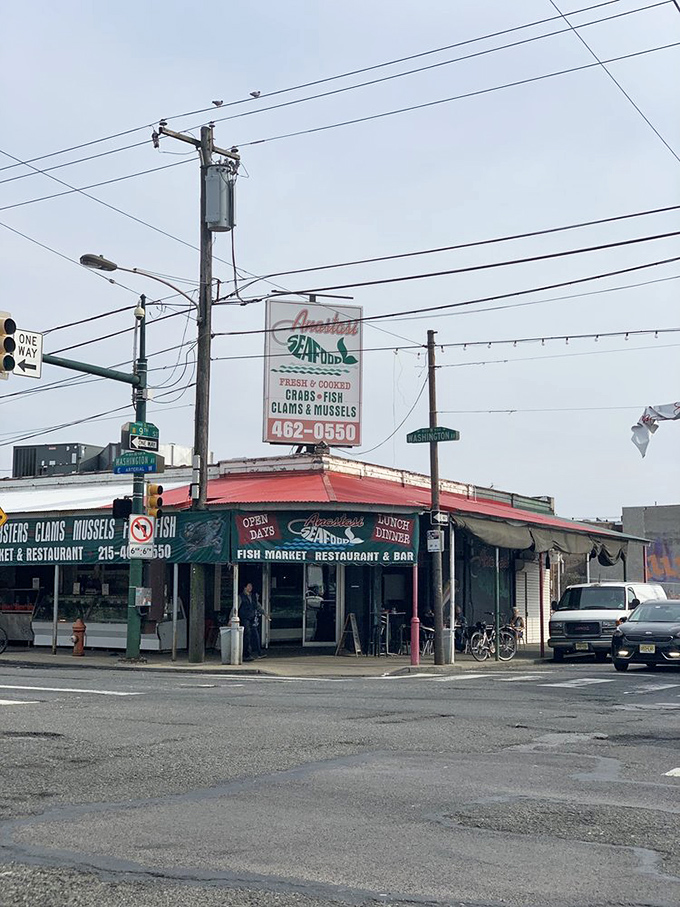 Corner seafood markets like Anastasi's are urban treasures&mdash;where neon signs promise fresh catches and local knowledge.