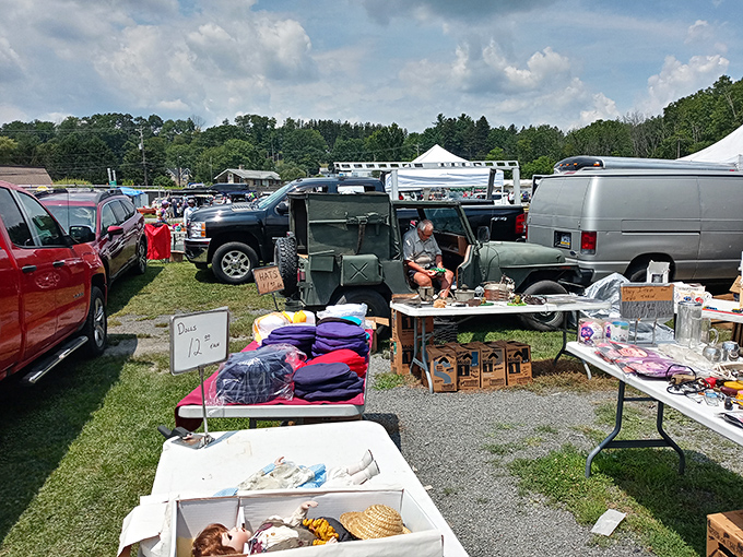 Mountain views and market finds! Blue Ridge Flea Market's outdoor tables showcase everyday treasures against nature's backdrop.