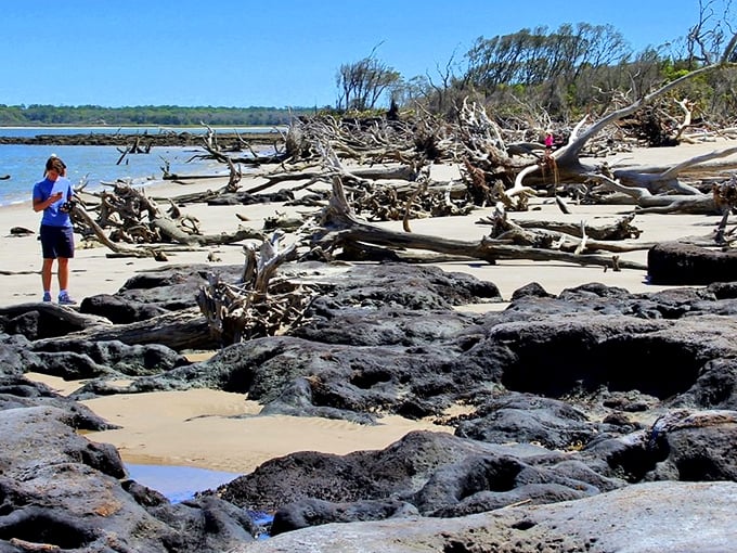 Boneyard Beach's sun-bleached trees create an eerie, beautiful landscape that's a photographer's dream come true.