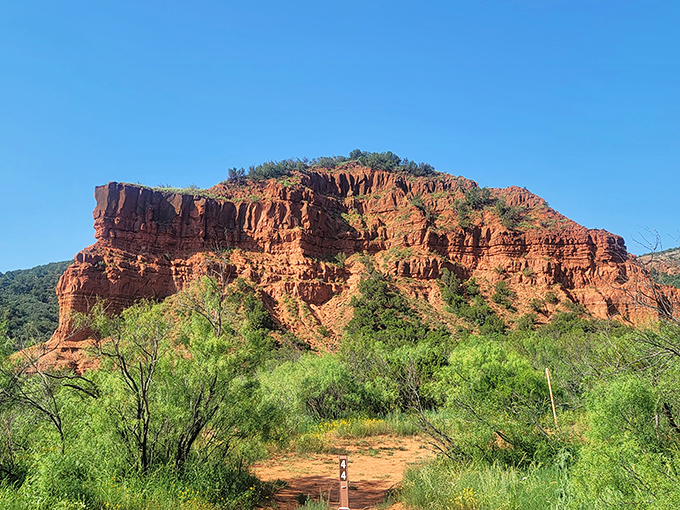 Nature's cathedral! Caprock Canyons' dramatic red cliffs would make Georgia O'Keeffe reach for her paintbrush faster than you can say "magnificent."