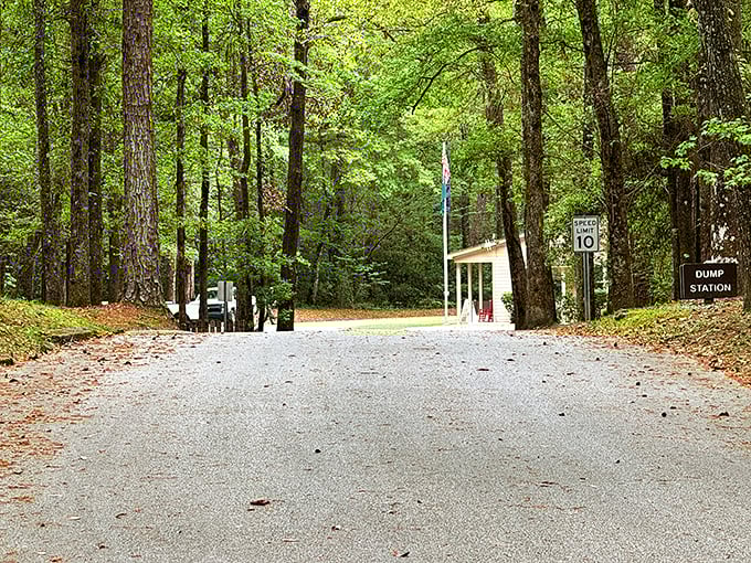 Colleton's peaceful pathways: where the only rushing water is the river and the only rush hour is never.