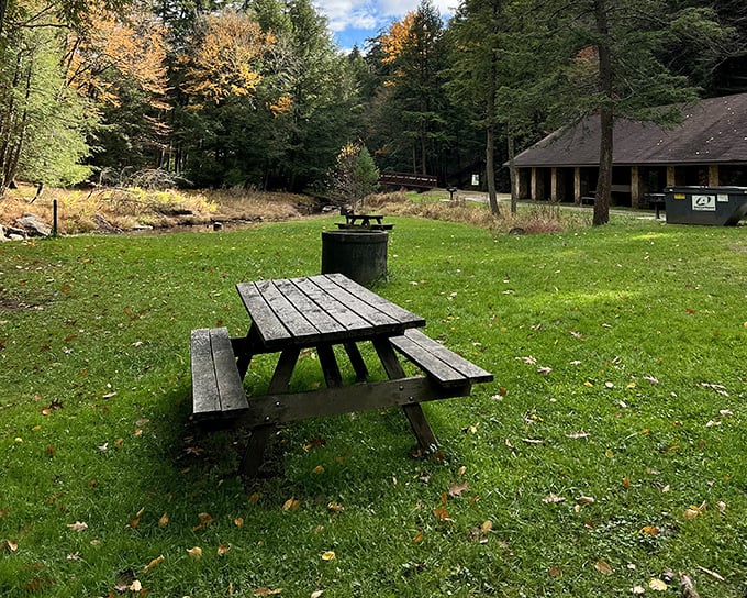 Cook Forest's picnic spots make your backyard barbecue look like amateur hour. Trees included for shade!