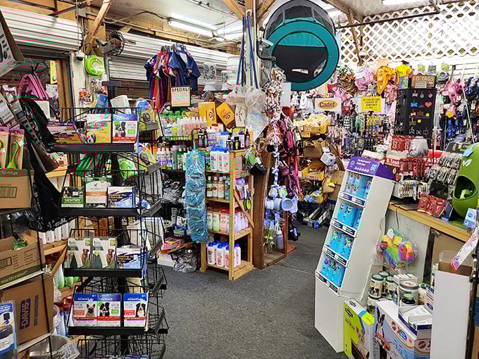 From pet supplies to quirky finds, this booth proves flea markets truly have a little bit of everything.