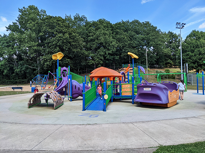 Hickory's playground equipment looks like it escaped from a children's book, all bright colors and endless possibilities.