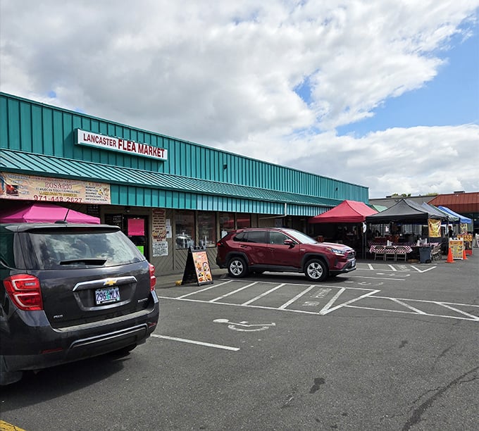 Lancaster's green roof shelters more treasures than a pirate's cave - minus the eye patches and parrots. 