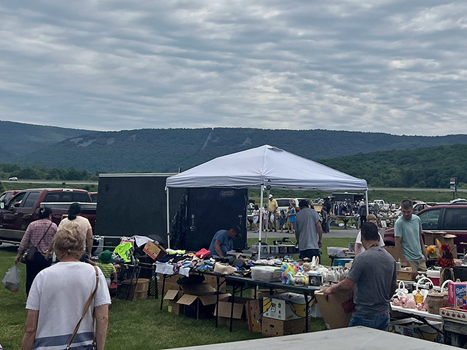 Leighty's sprawls across rolling hills where vendors and shoppers create a colorful patchwork against nature's backdrop.